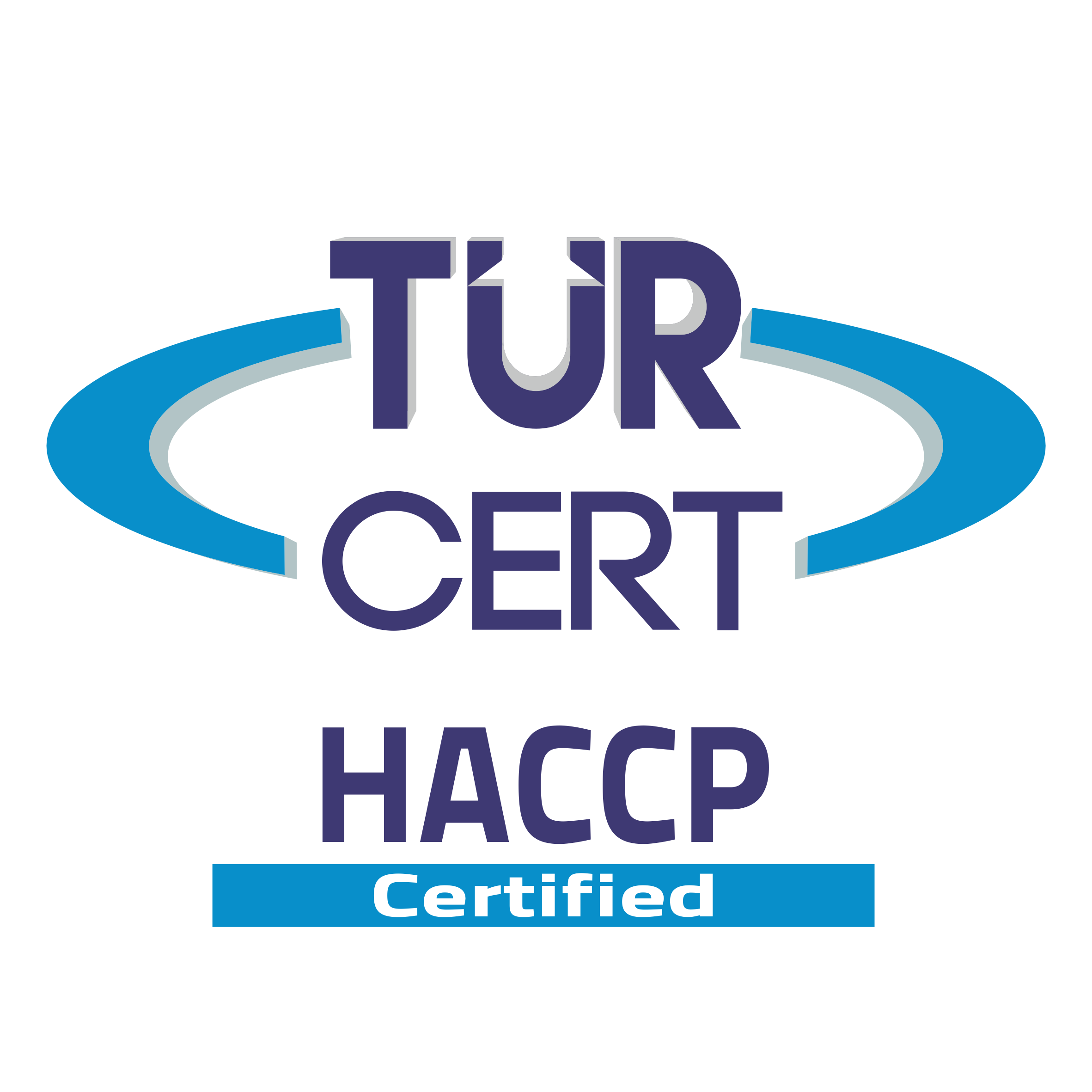 Penggunaan Logo | TÜRCERT Kontrol Teknis dan Sertifikasi Inc.